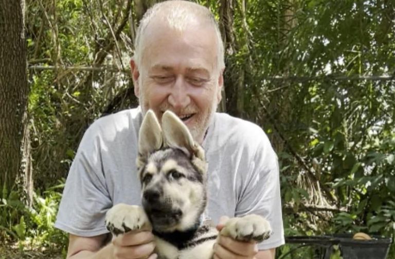 Dog Park Shooting is a Warning on the Dire Consequences of Political ...