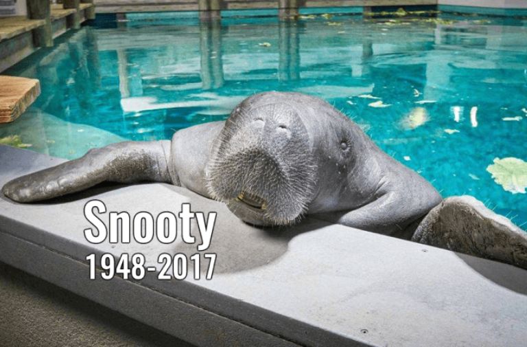 The Legend of Snooty | Opinion